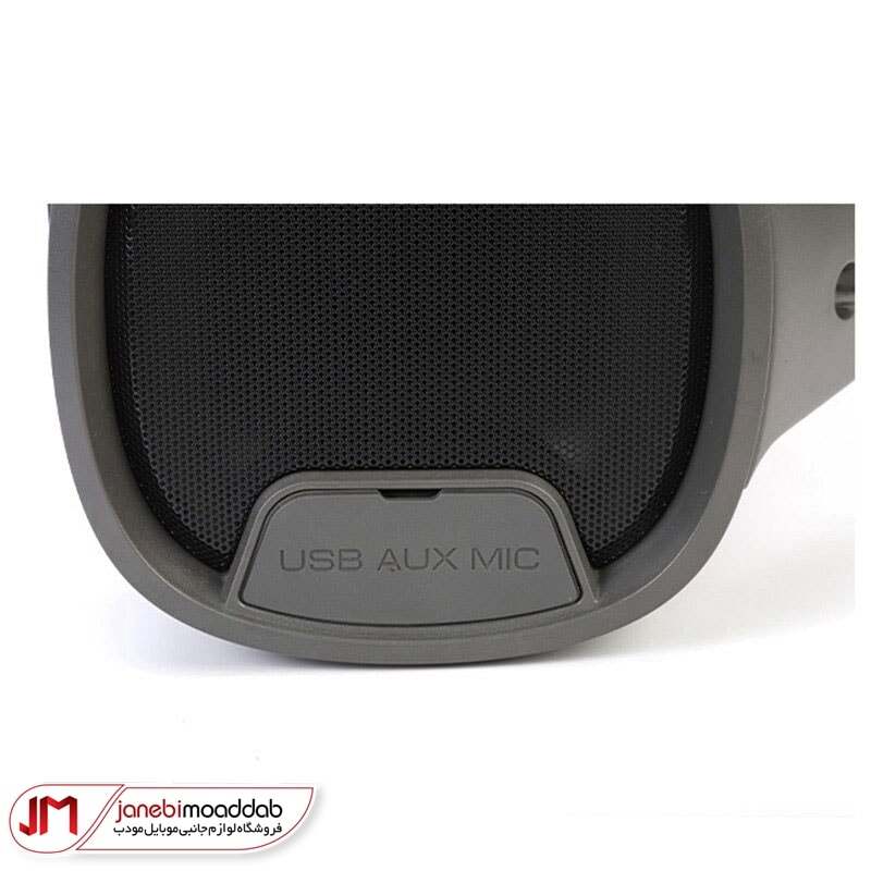 اسپیکر بلوتوث بیکارو مدل Beecaro GF701 | فروشگاه لوازم جانبی موبایل مودب